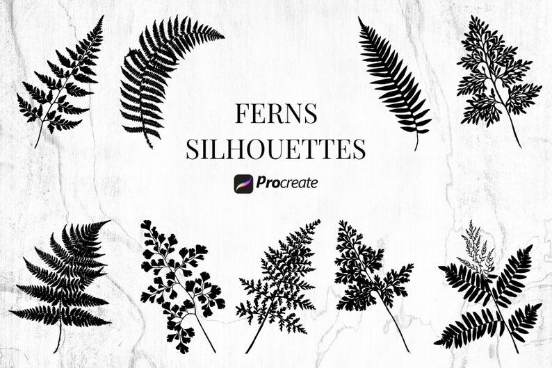 Procreate Fern & Grass Stamps: Silhouette Illustrations (digital ...