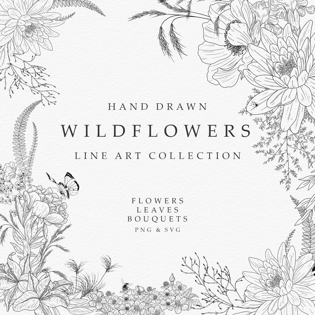 Wildflower Line Art Collection: Floral SVG & PNG Illustrations (digital ...