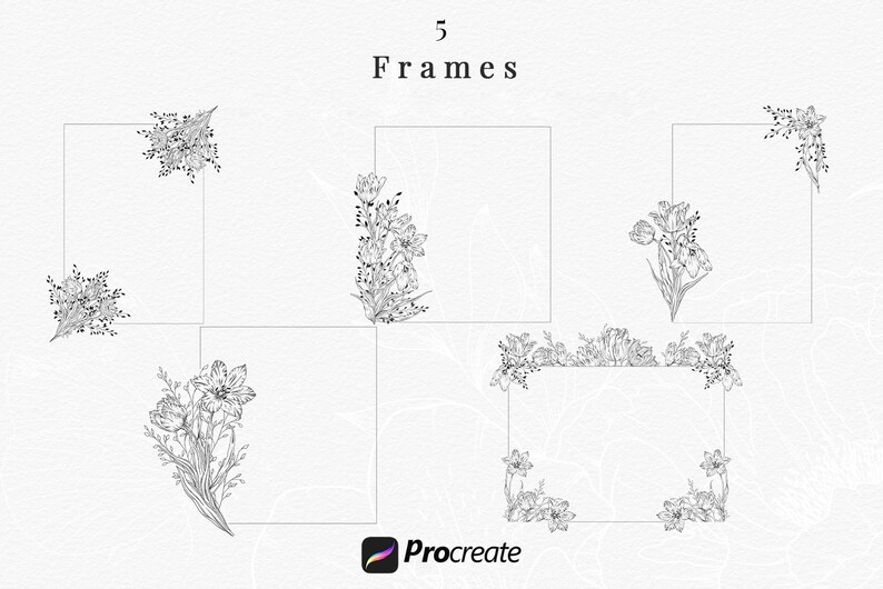 Procreate Floral Line Art Fames, Procreate Floral Illustrations ...