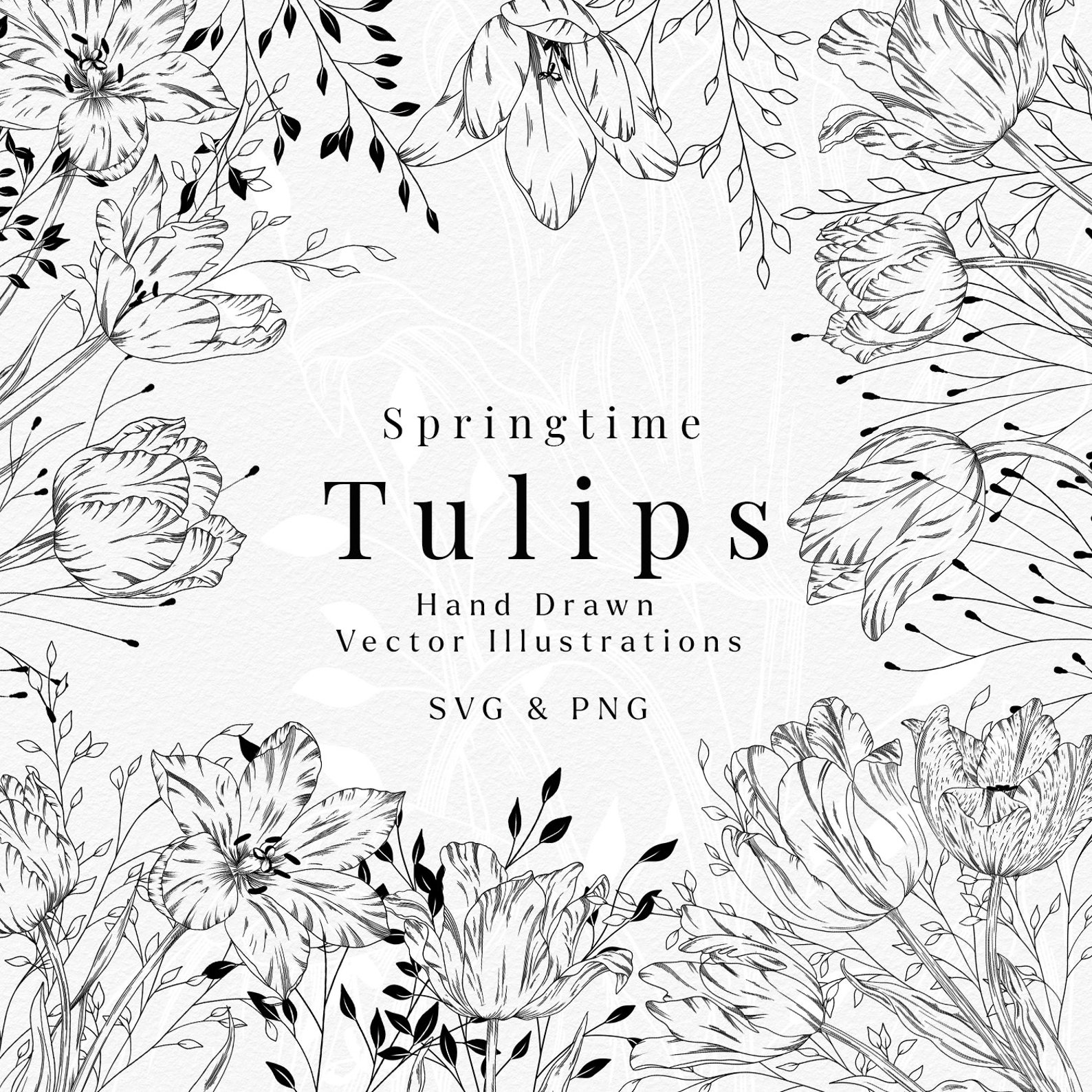 Tulips Line Art Collection, Floral Line Art, Tulip Tree Bloom Flower ...