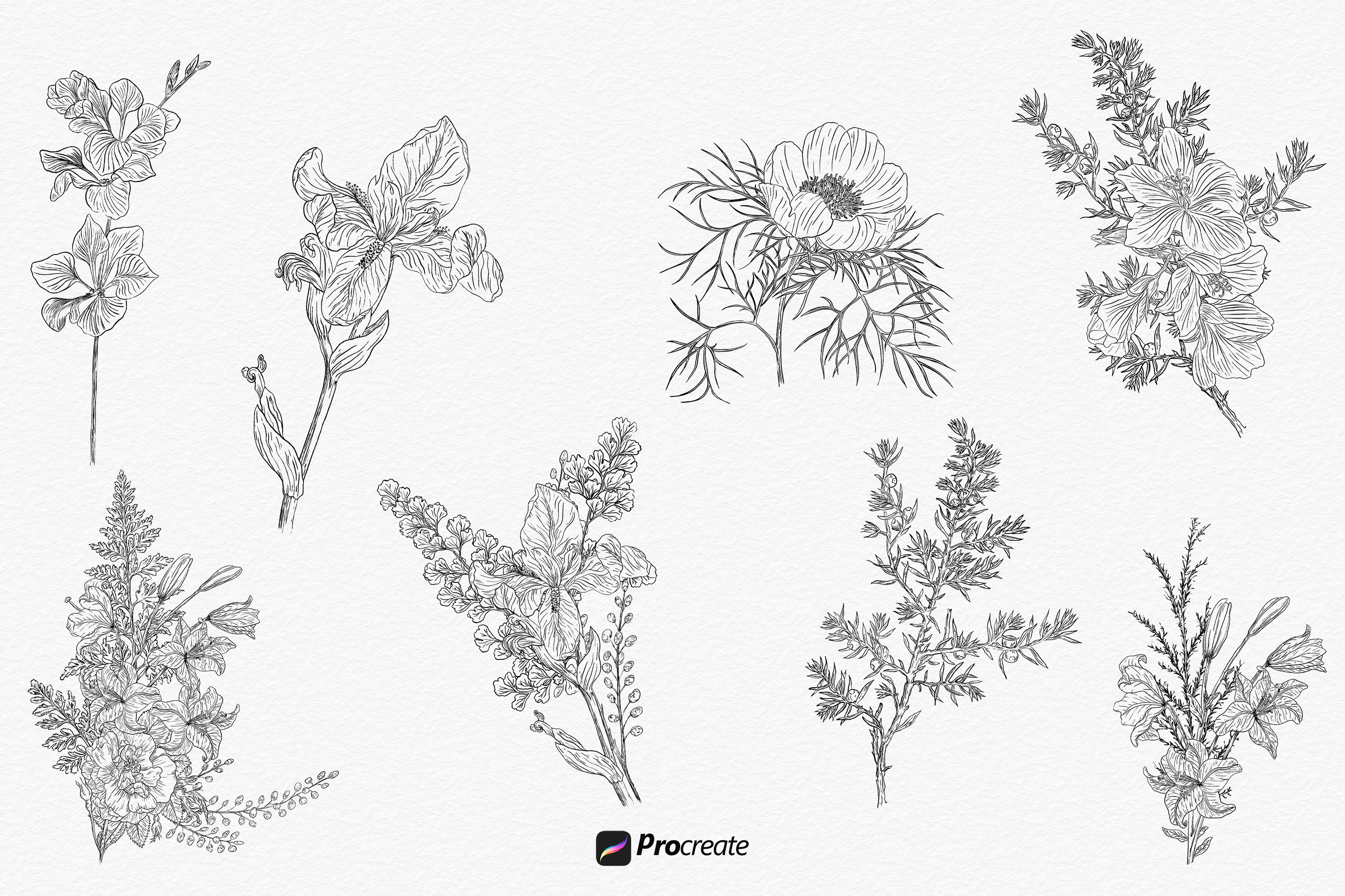 Procreate Floral Line Art, Procreate Flower Stamps, Procreate Brushes ...