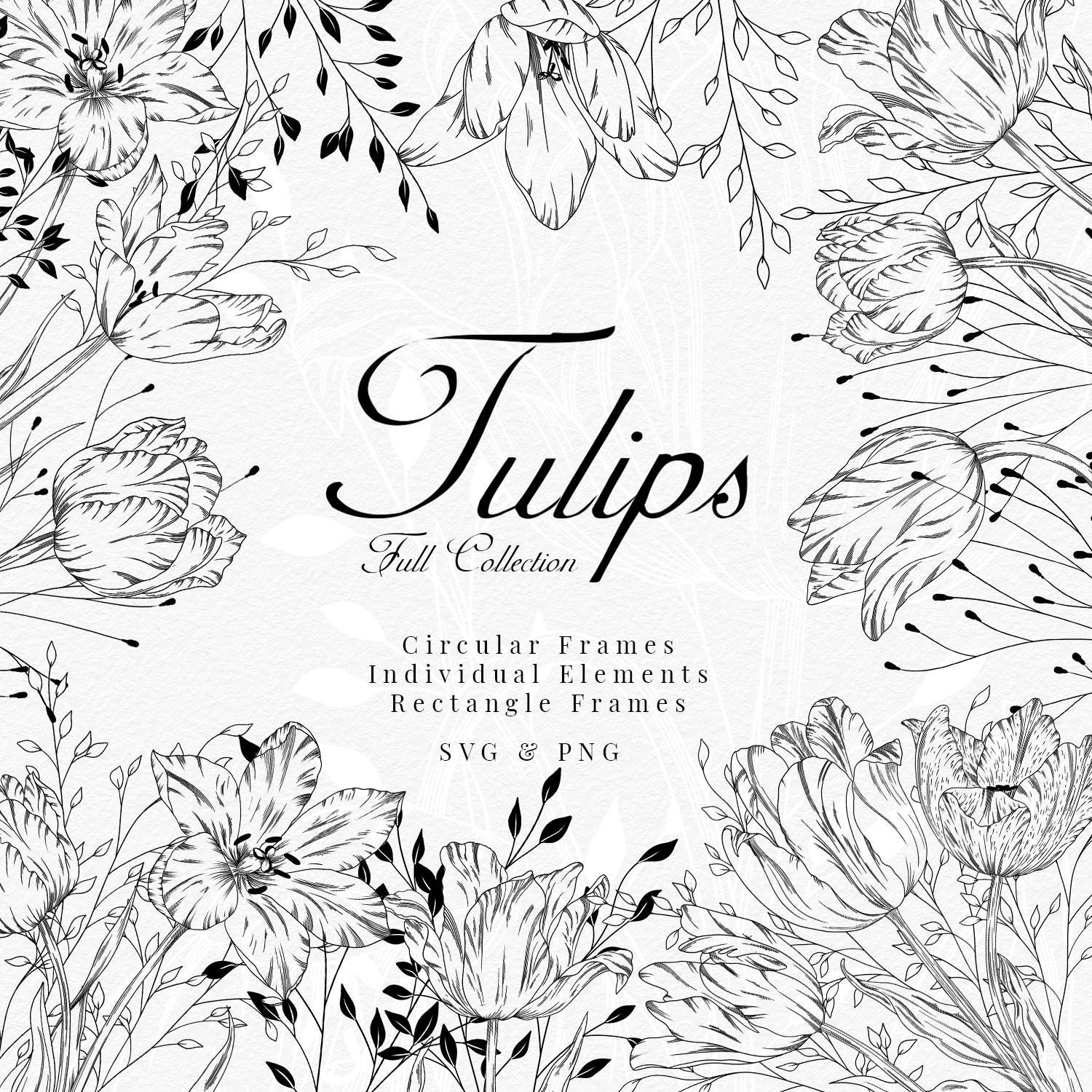 Floral Line Art Bundle, Tulips Botanical, Floral Clipart, Spring ...