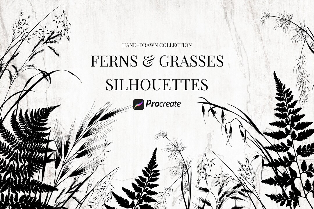 Procreate Fern & Grass Stamps: Silhouette Illustrations (digital ...