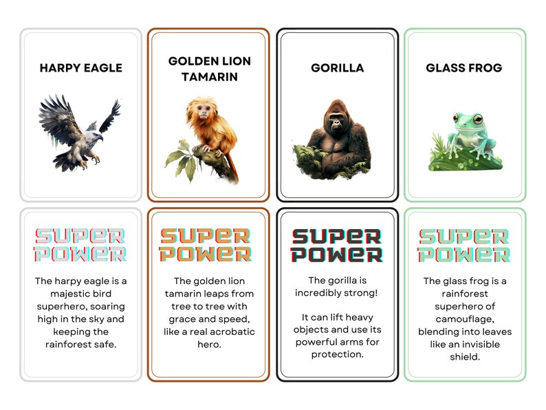 31 Rainforest Animals + 31 Matching Superpowers Flash Cards ...