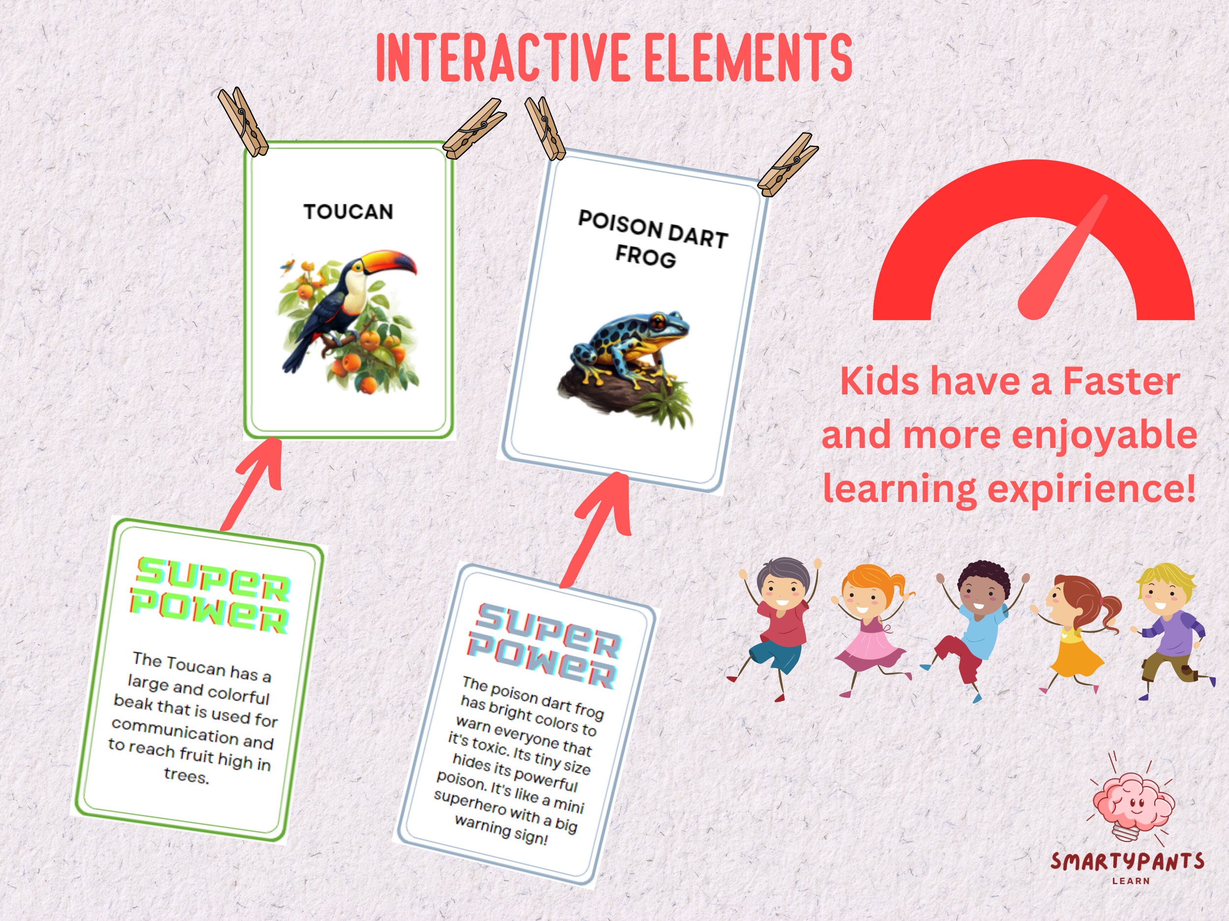 31 Rainforest Animals + 31 Matching Superpowers Flash Cards, Educational Printable Cards ...