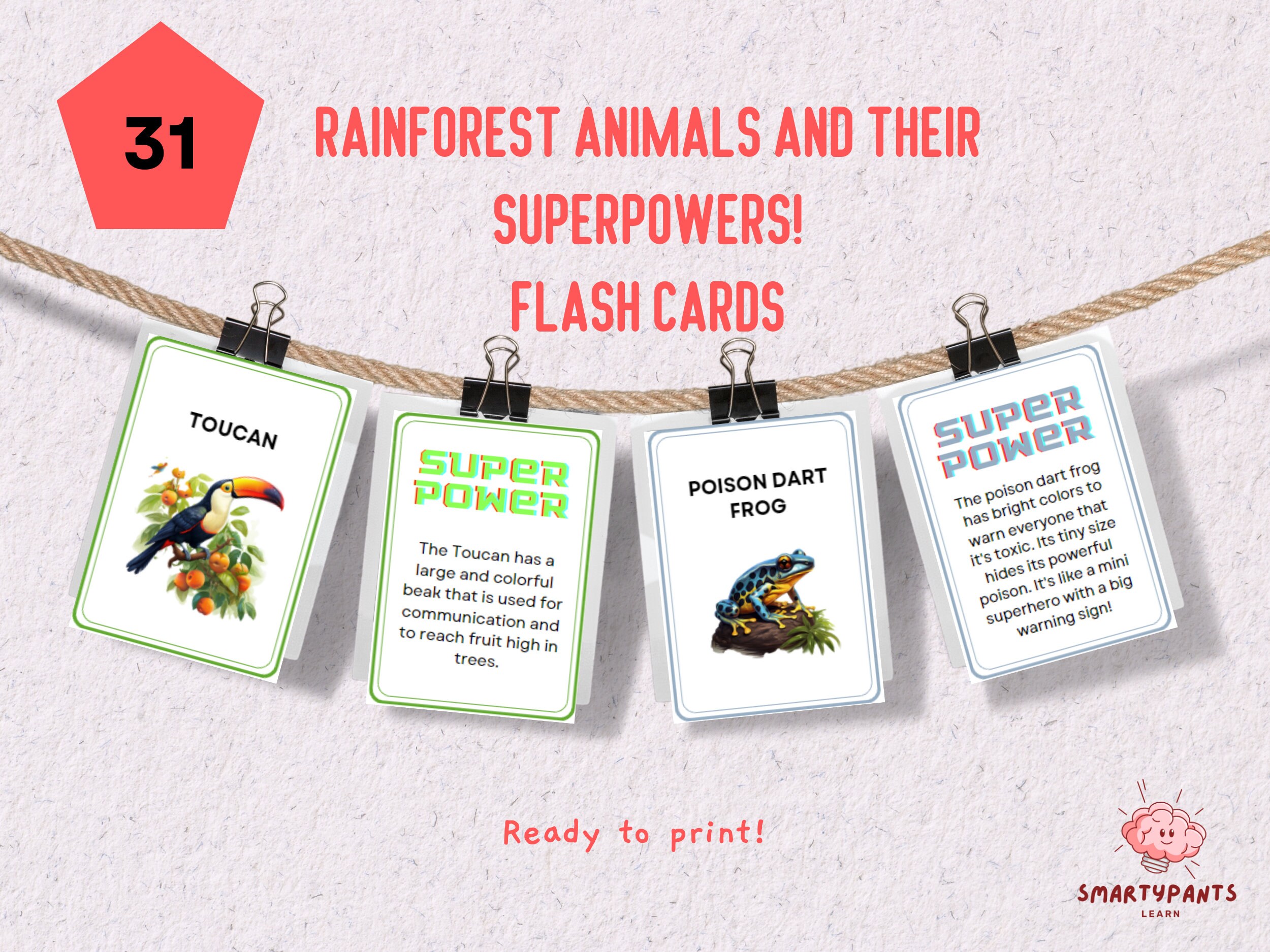 31 Rainforest Animals + 31 Matching Superpowers Flash Cards ...