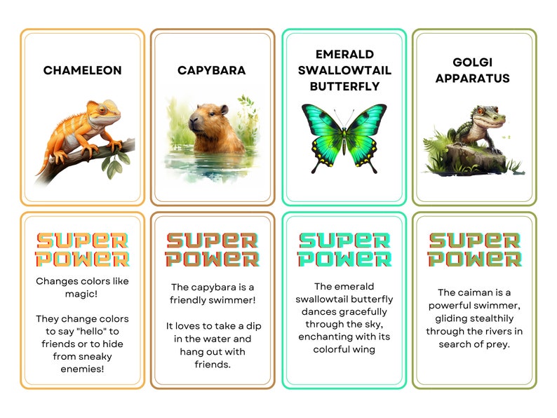 31 Rainforest Animals + 31 Matching Superpowers Flash Cards ...