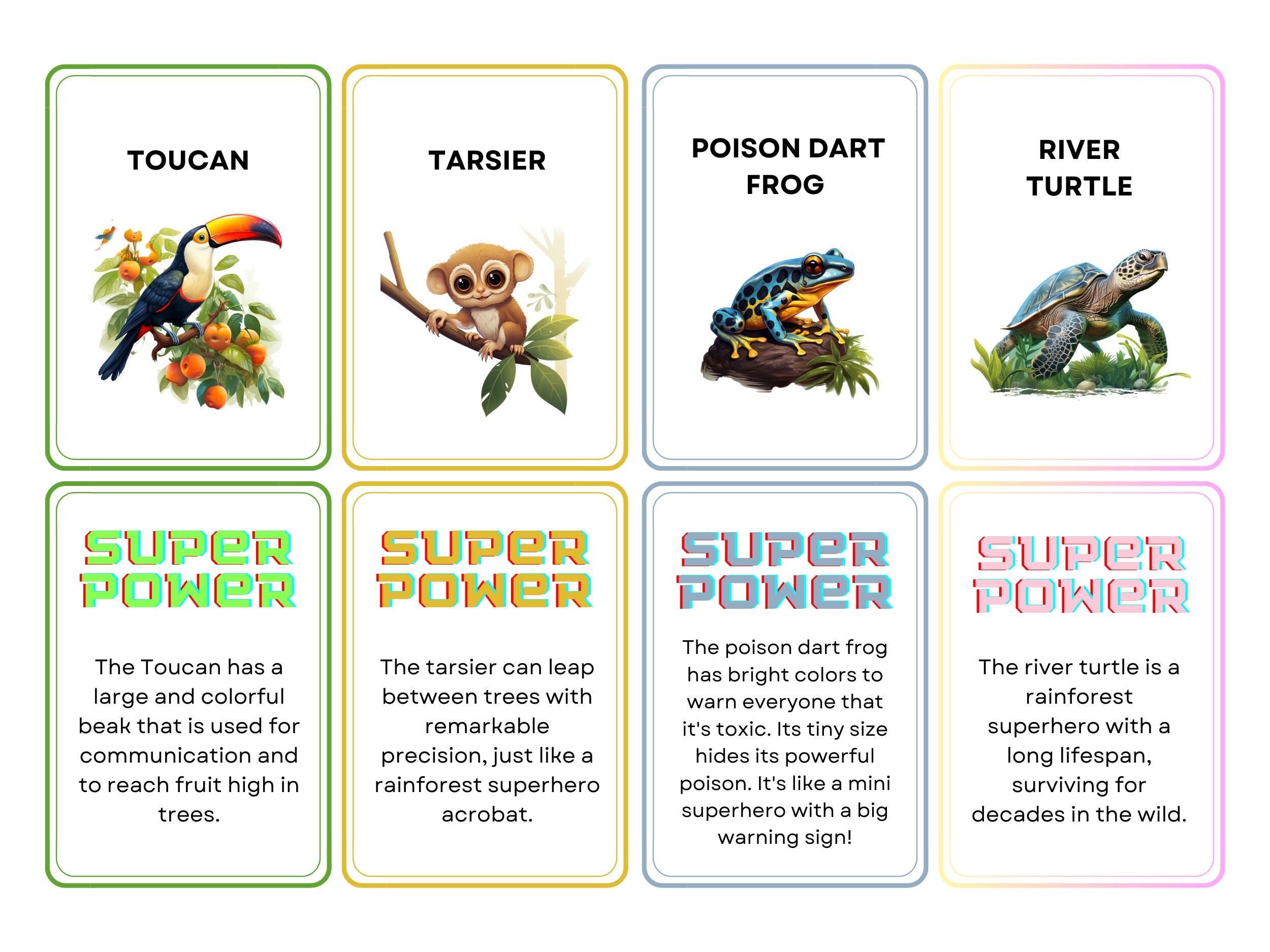 31 Rainforest Animals + 31 Matching Superpowers Flash Cards ...