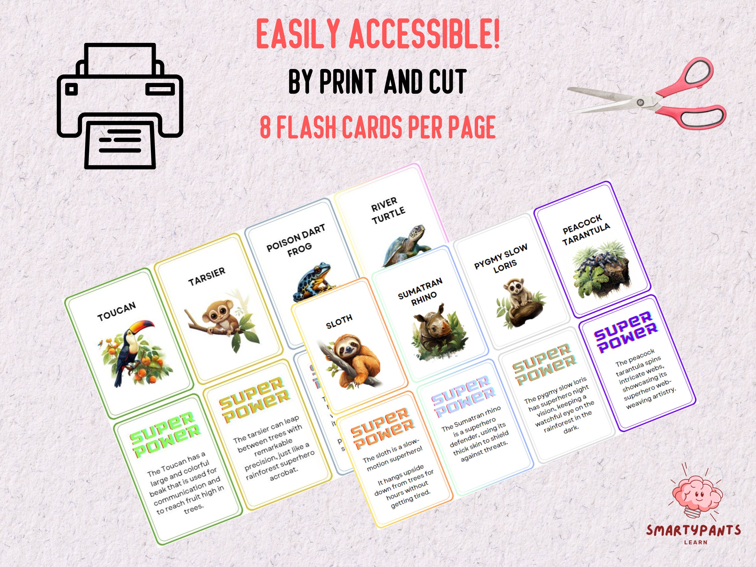 31 Rainforest Animals + 31 Matching Superpowers Flash Cards ...