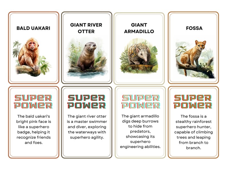 31 Rainforest Animals + 31 Matching Superpowers Flash Cards ...
