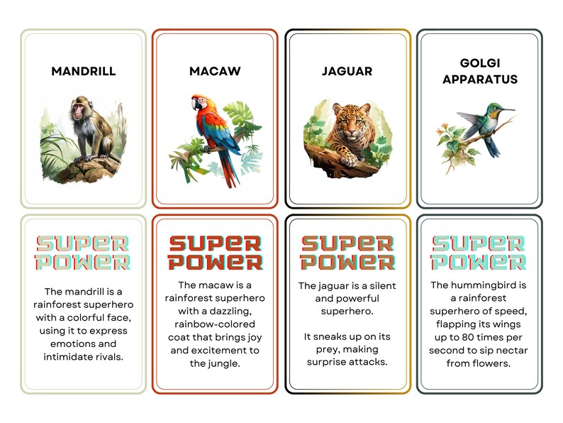 31 Rainforest Animals + 31 Matching Superpowers Flash Cards ...