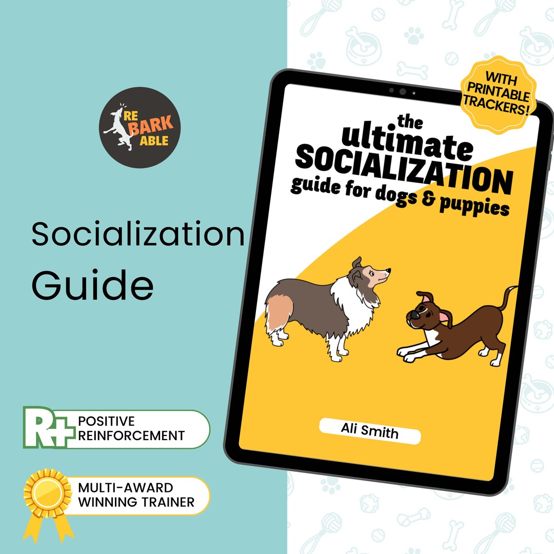 Socialization Guide for Dogs and Puppies by a Professional Dog Trainer ...