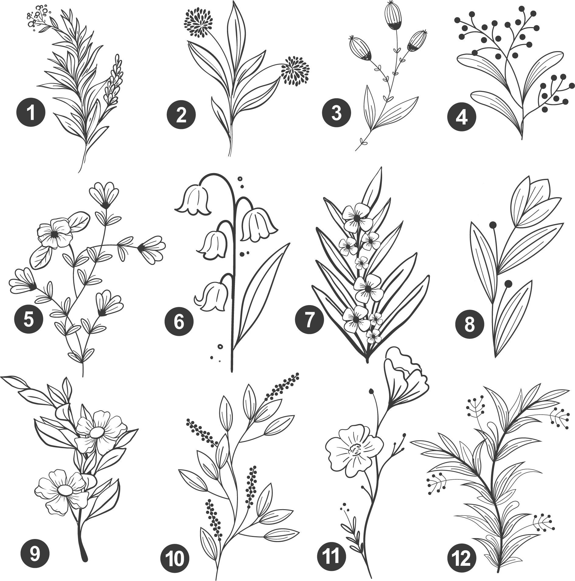 Birth Flower Clipart, Floral Line Drawing, Flower Clipart, Tropical ...