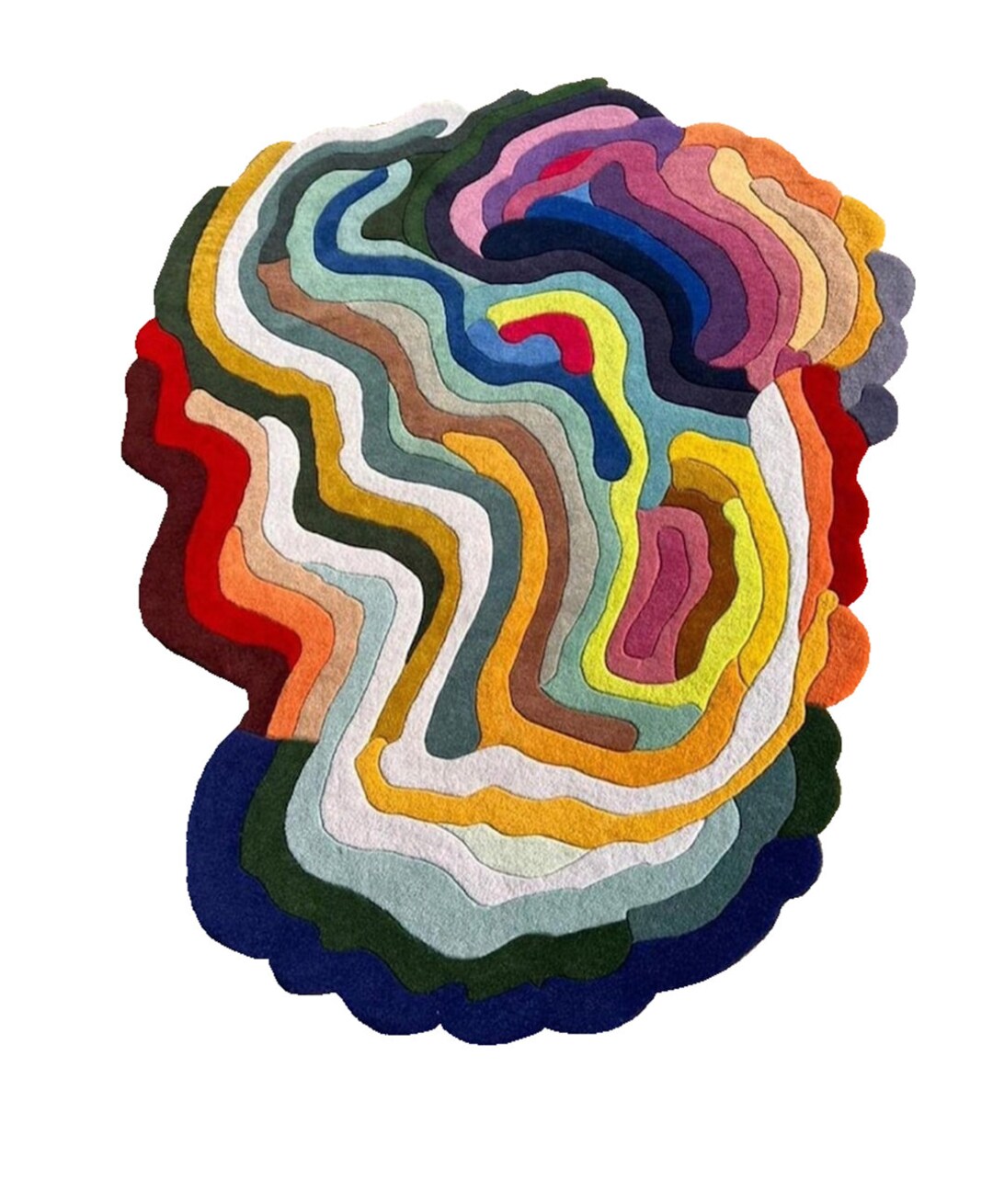 Irregular Shape Rug Alternative Pile Handmade Unique Rug for Living ...