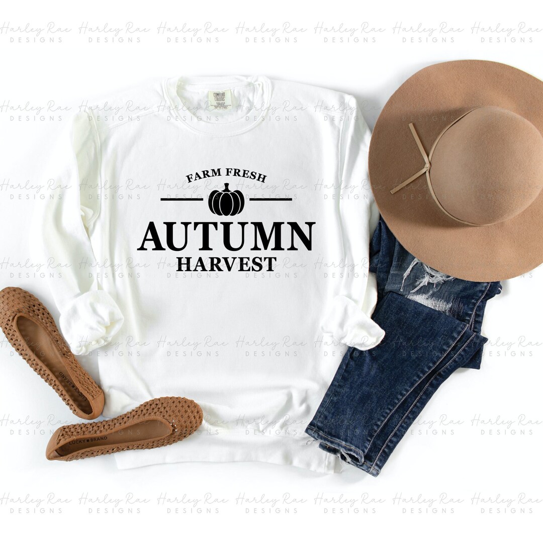 Autumn Harvest SVG PNG Fall Svg Png Designs Comfy, Cozy Designs Svg Png ...