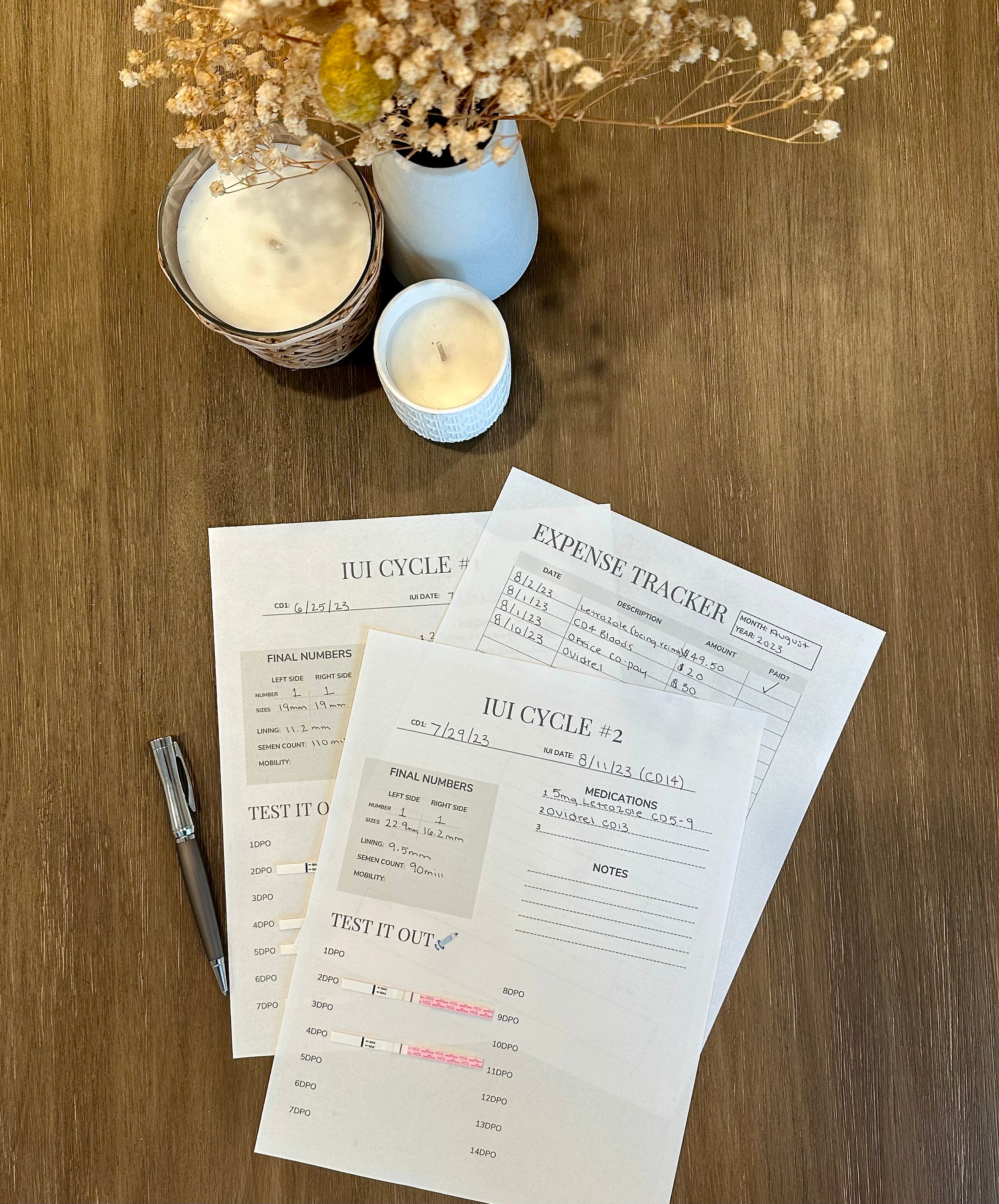 BYO PACKET! Cycle Overview Sheet With Trigger Testing for Iui/fertility ...