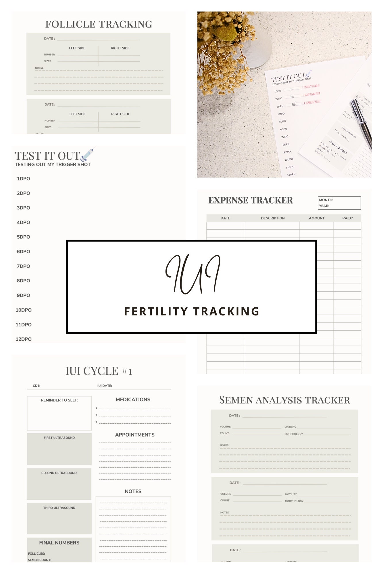 IUI Cycle #1 Tracking Packet Digital Download *fertility Tracker* (neutral Style) - Etsy