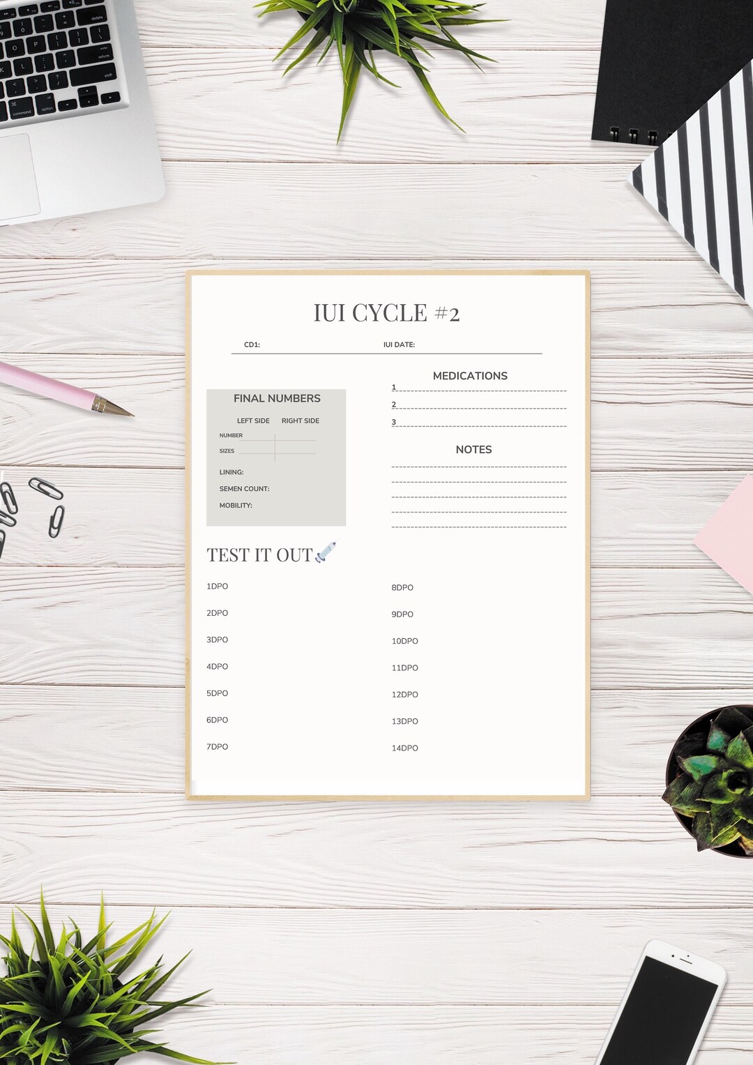 BYO PACKET! Cycle #2 Overview Sheet With Trigger Testing for Iui ...