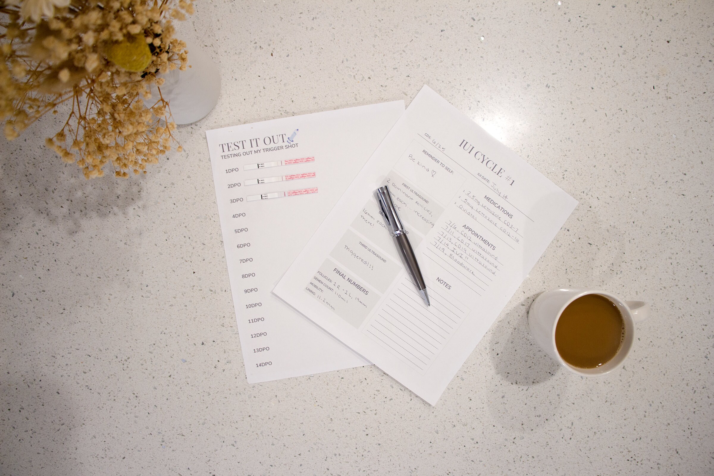 IUI Cycle #1 Tracking Packet Digital Download *fertility Tracker ...