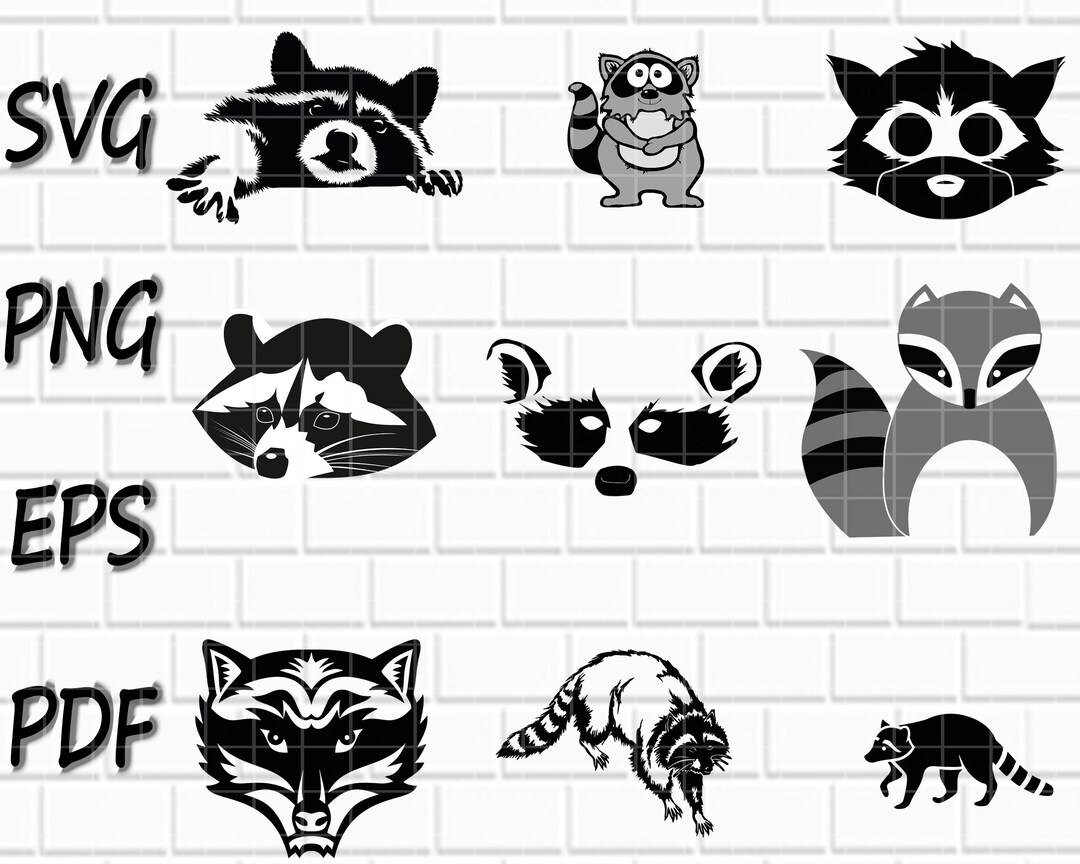 Silueta de mapache SVG Mapache cricut Vector de mapache Clipart de ...