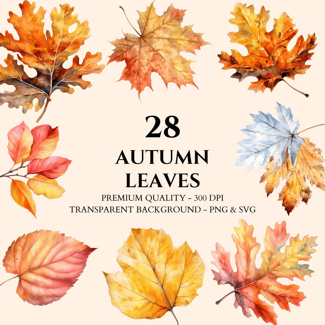 Watercolor Autumn Leaves, Fall Clipart, Maple Leaf, Oak Leaf, Birch ...
