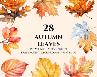 Watercolor Autumn Leaves Bundle, Fall Clipart, Maple Leaf, Oak Leaf ...