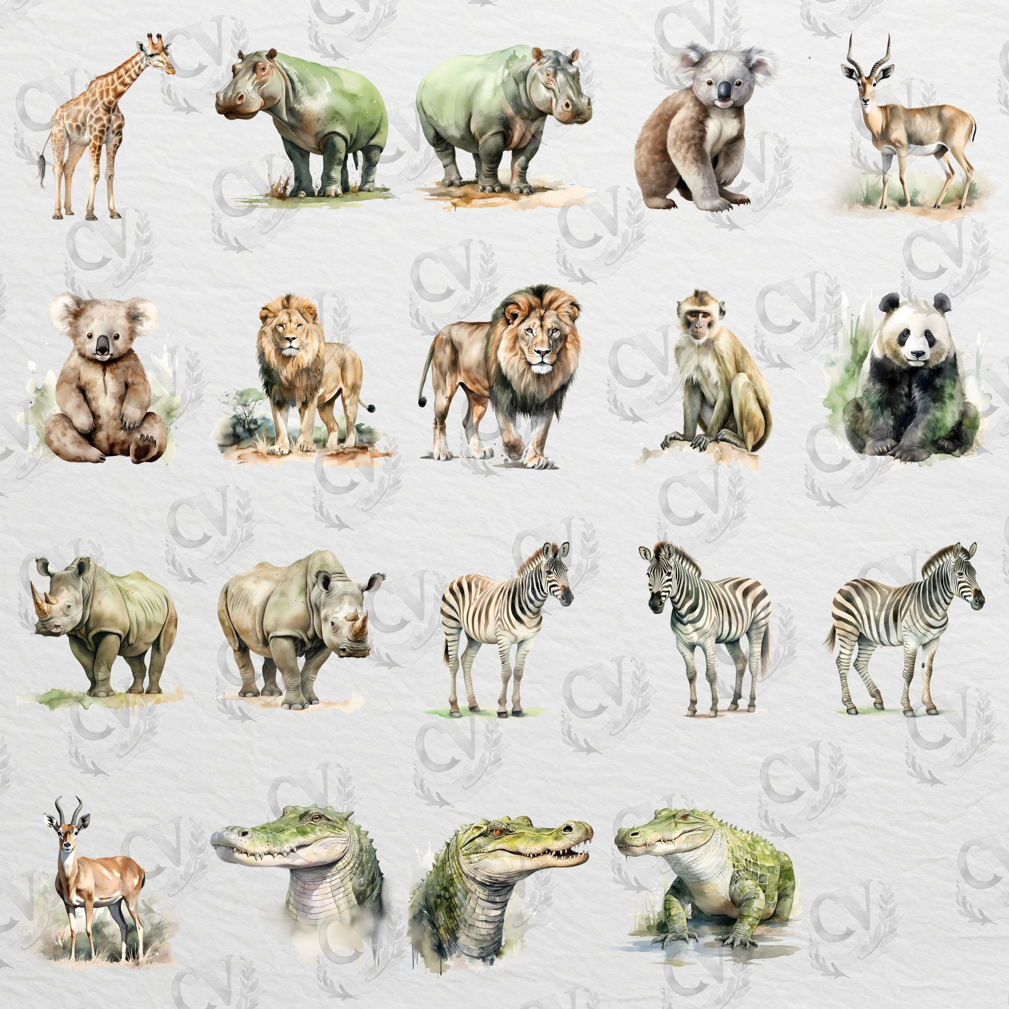 Watercolor Safari Animals Clipart PNG and SVG Graphics - Etsy