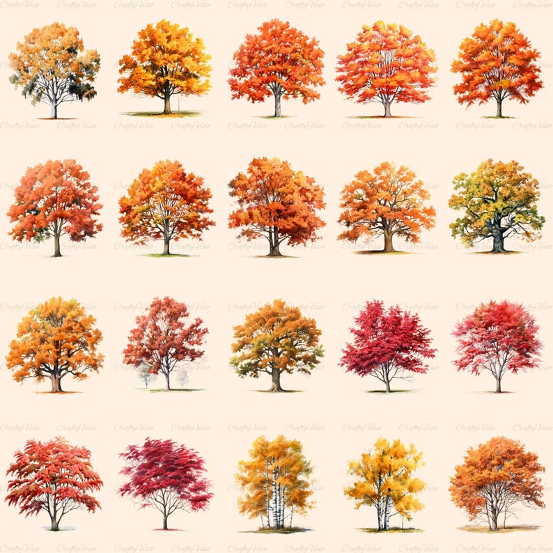 Watercolor Fall Trees Clipart, Autumn Season Bundle, Gingko, Black Gum ...