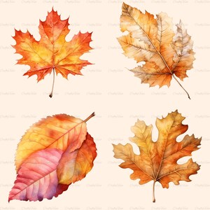 Watercolor Autumn Leaves, Fall Clipart, Maple Leaf, Oak Leaf, Birch ...
