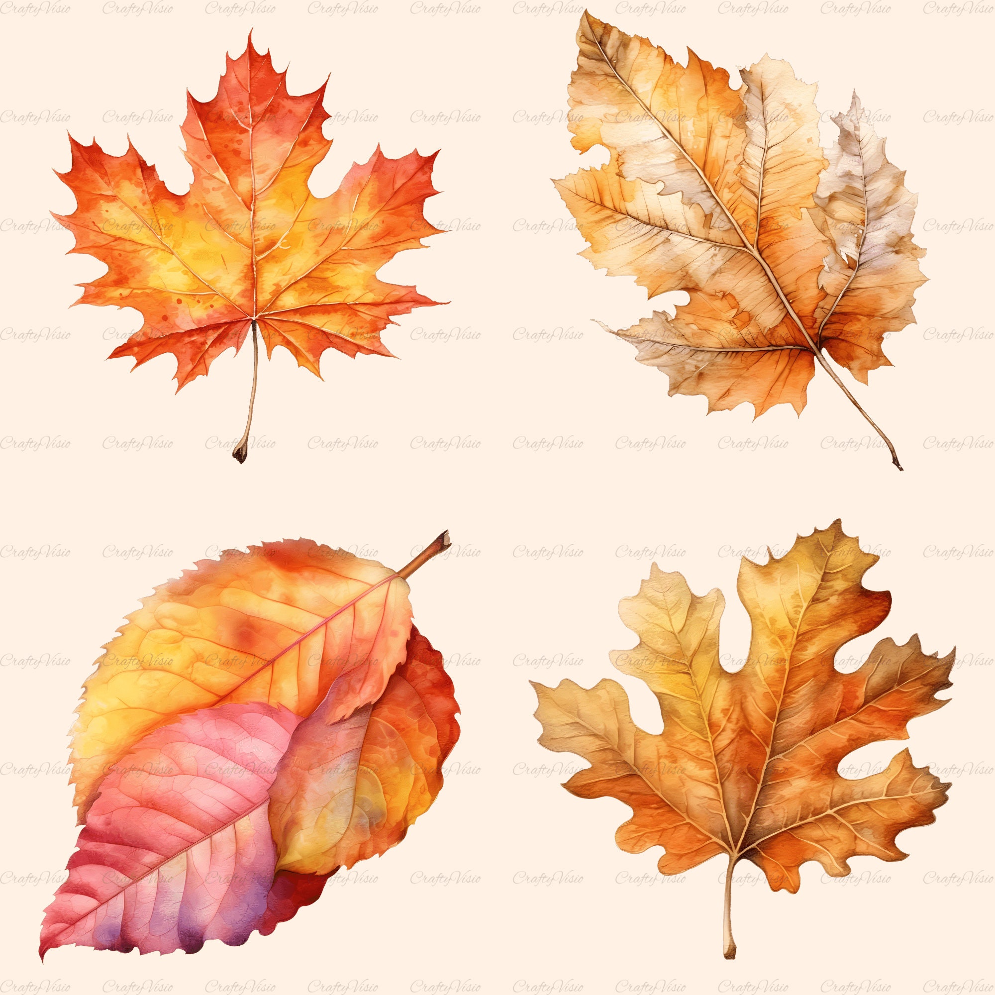 Watercolor Autumn Leaves Fall Clipart Maple Leaf Oak Leaf - Etsy