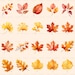 Watercolor Autumn Leaves Bundle, Fall Clipart, Maple Leaf, Oak Leaf ...