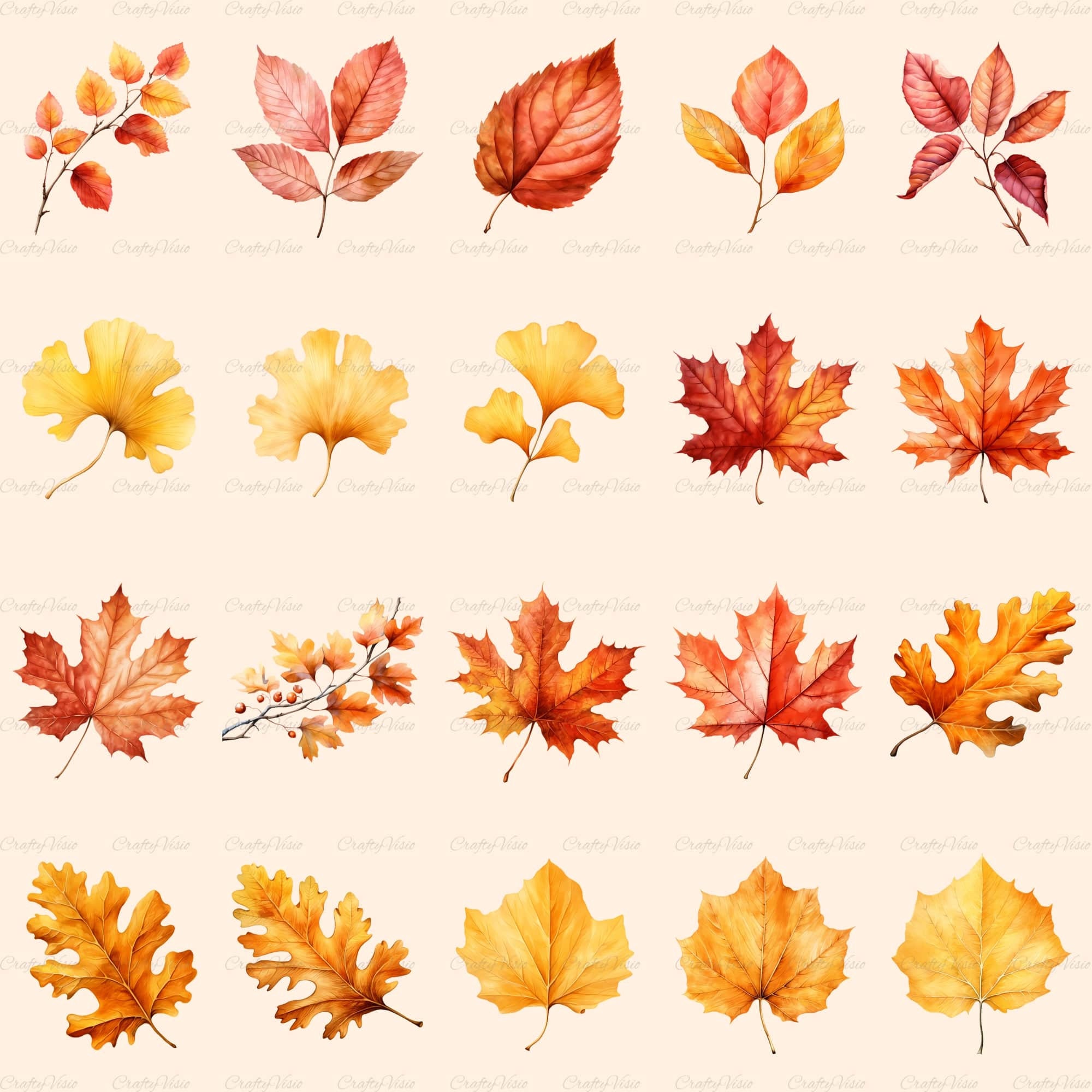 Watercolor Autumn Leaves Bundle, Fall Clipart, Maple Leaf, Oak Leaf ...