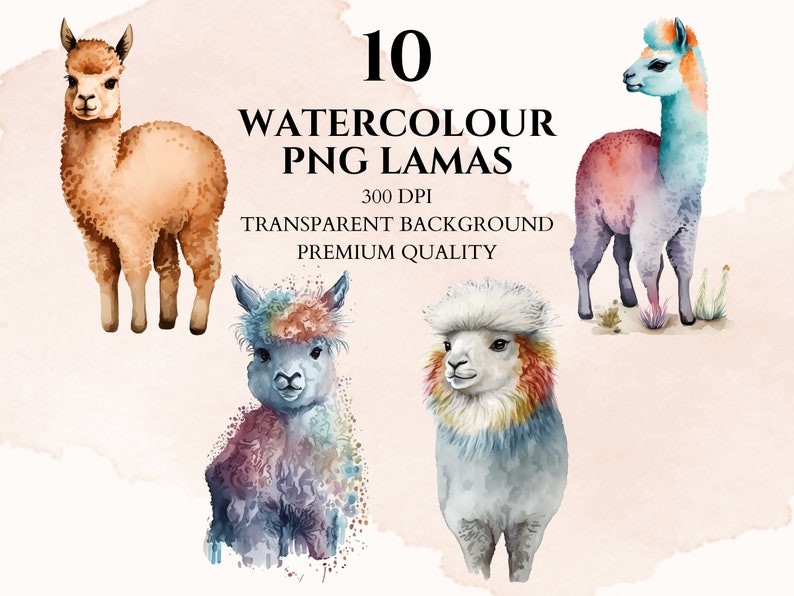 Lama Watercolor Clipart, Digital Download, PNG Bundle, Baby Shower ...