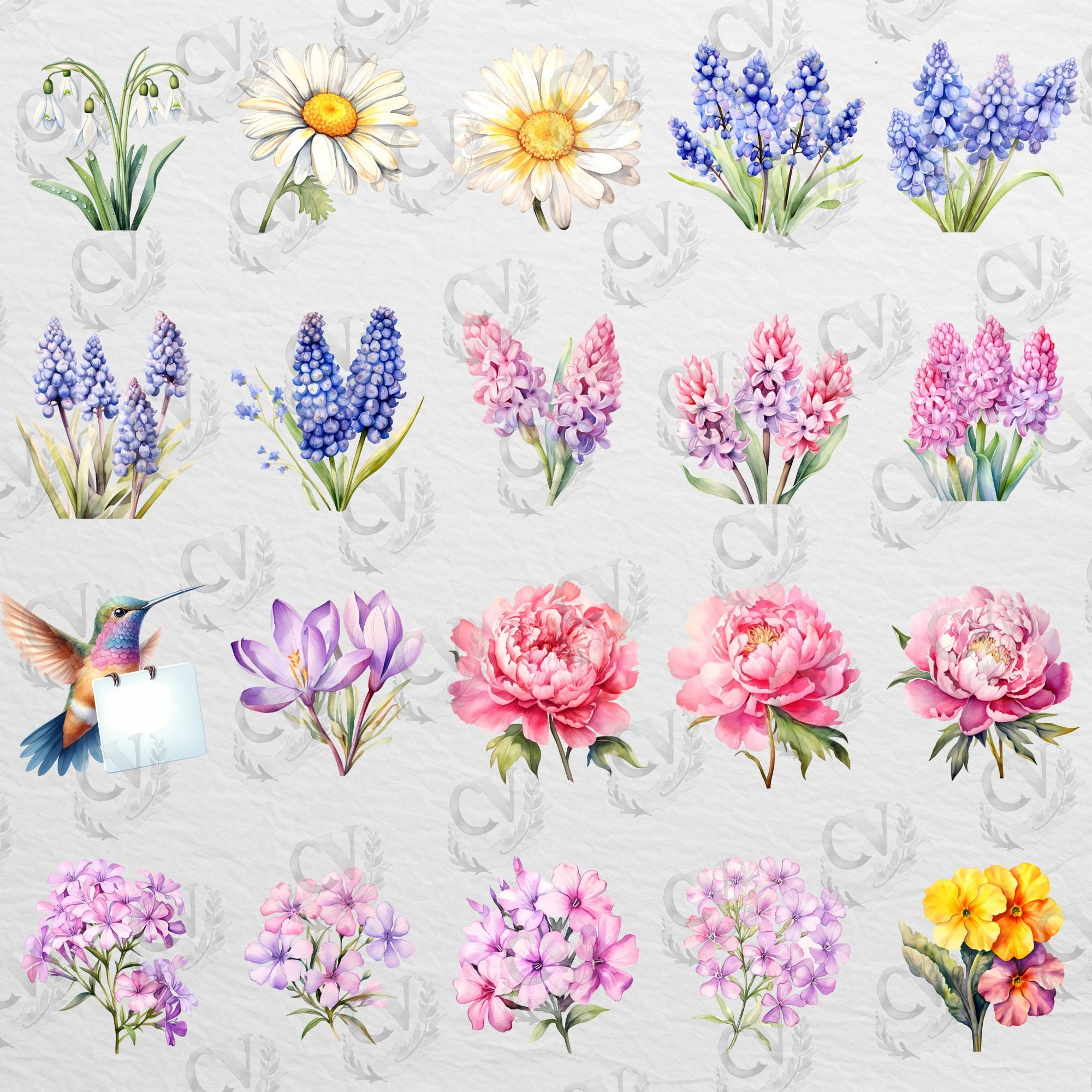 Watercolor Spring Flowers Clipart, Wild Flowers Illustration Bundle ...