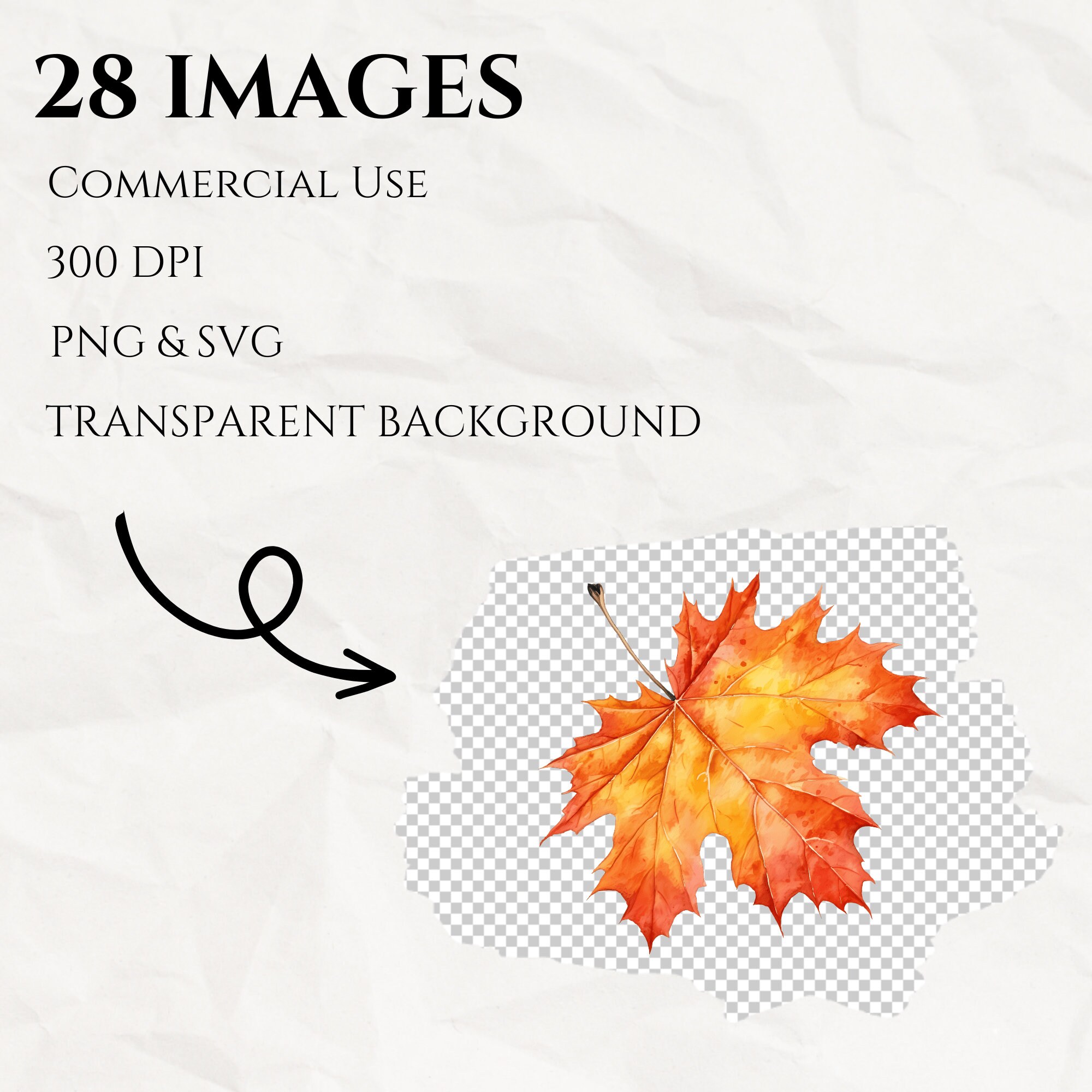 Watercolor Autumn Leaves Fall Clipart Maple Leaf Oak Leaf - Etsy