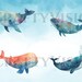 Whale Watercolor Clipart, Ocean Animals, Sea Creatures, Nursery Decor ...