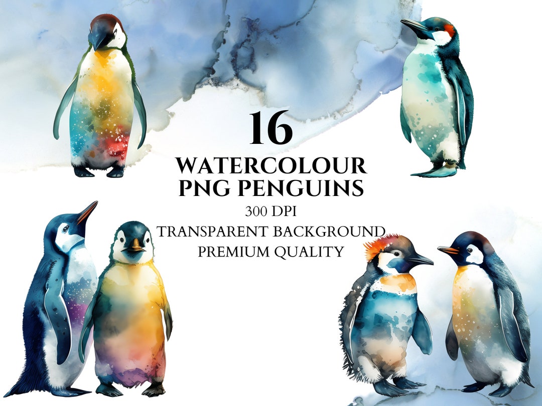 Penguin Watercolor Clipart, Instant Download, Digital File, PNG Bundle ...