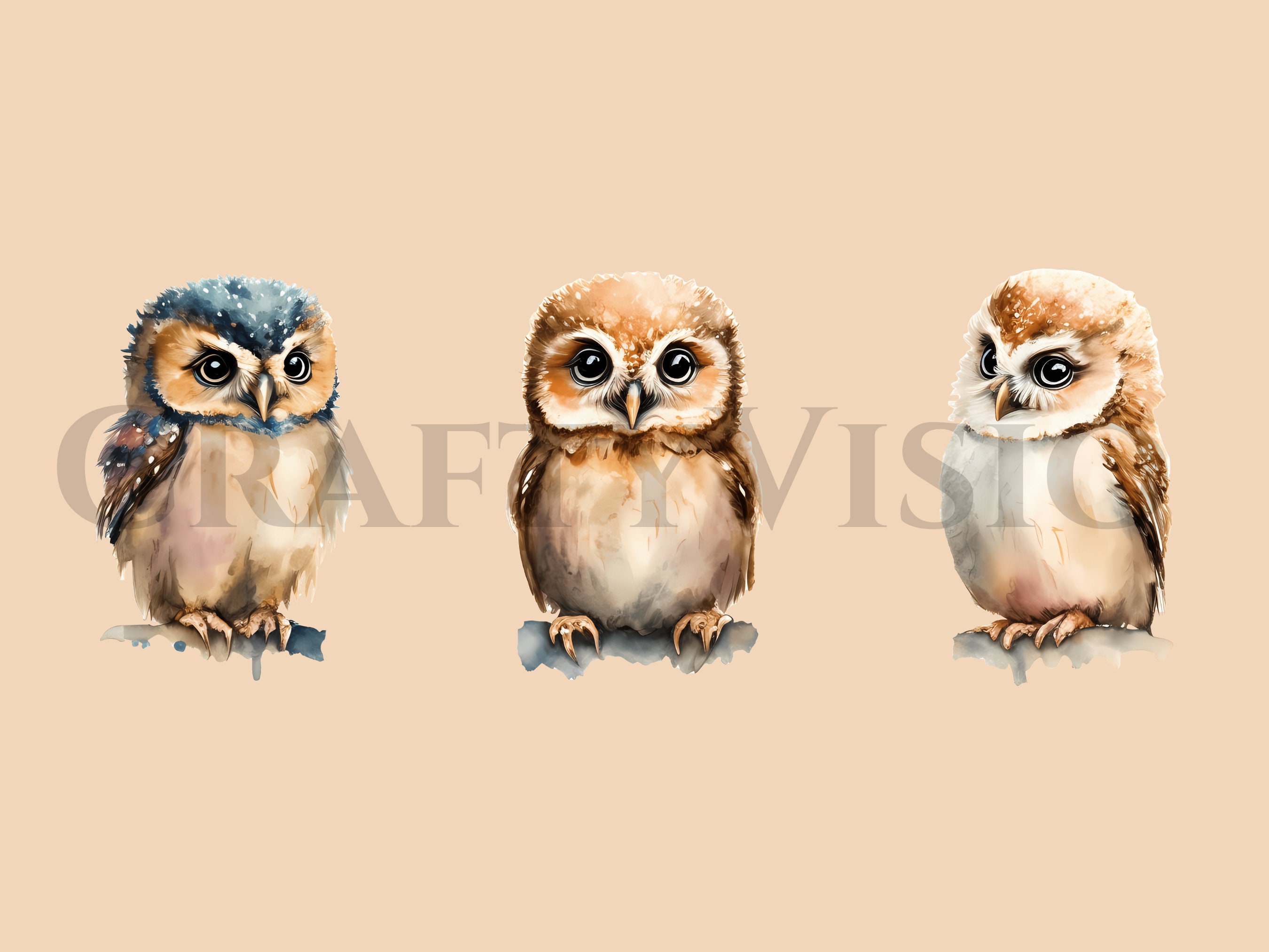 Watercolor Owl Clipart, Baby Owls, Png, Printable Image, Digital ...