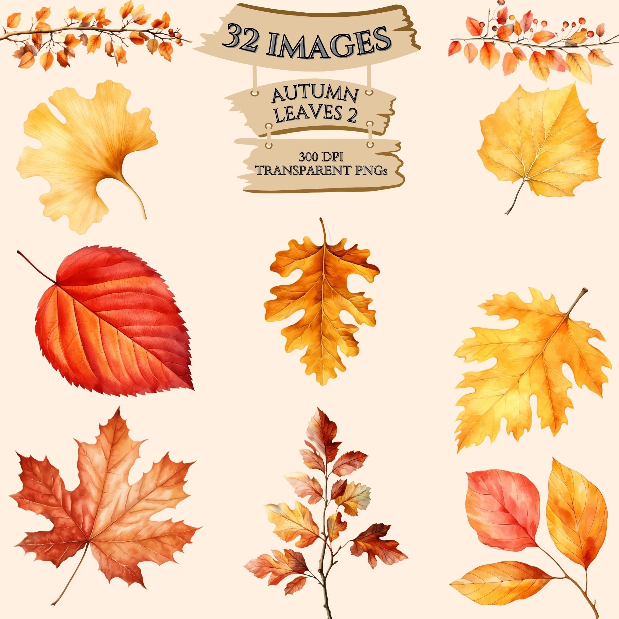 Watercolor Autumn Leaves Bundle, Fall Clipart, Maple Leaf, Oak Leaf ...