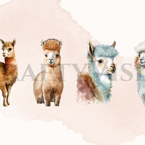 Lama Watercolor Clipart Digital Download PNG Bundle Baby - Etsy