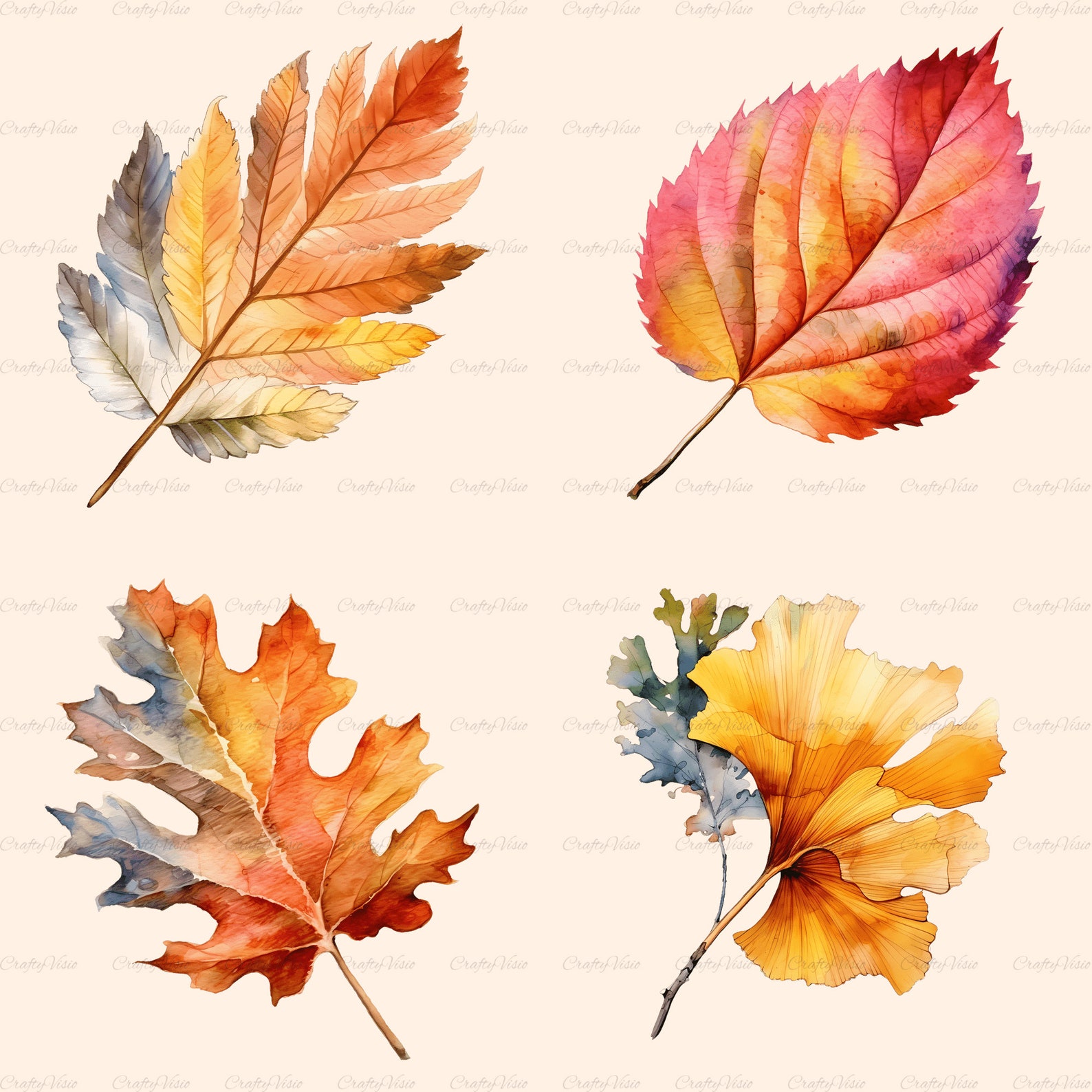 Watercolor Autumn Leaves, Fall Clipart, Maple Leaf, Oak Leaf, Birch ...