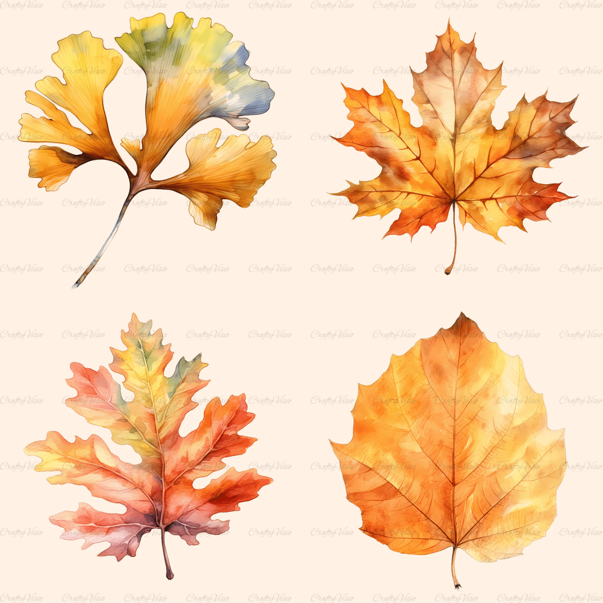 Watercolor Autumn Leaves Fall Clipart Maple Leaf Oak Leaf - Etsy