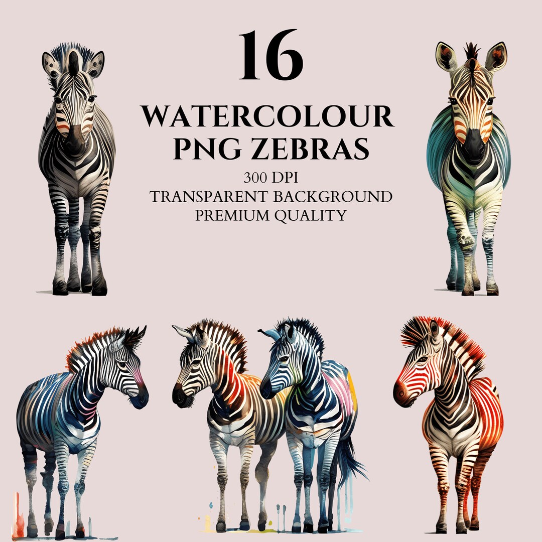 Watercolor Zebra Clipart, Safari Animals, PNG Bundle, Digital Download ...