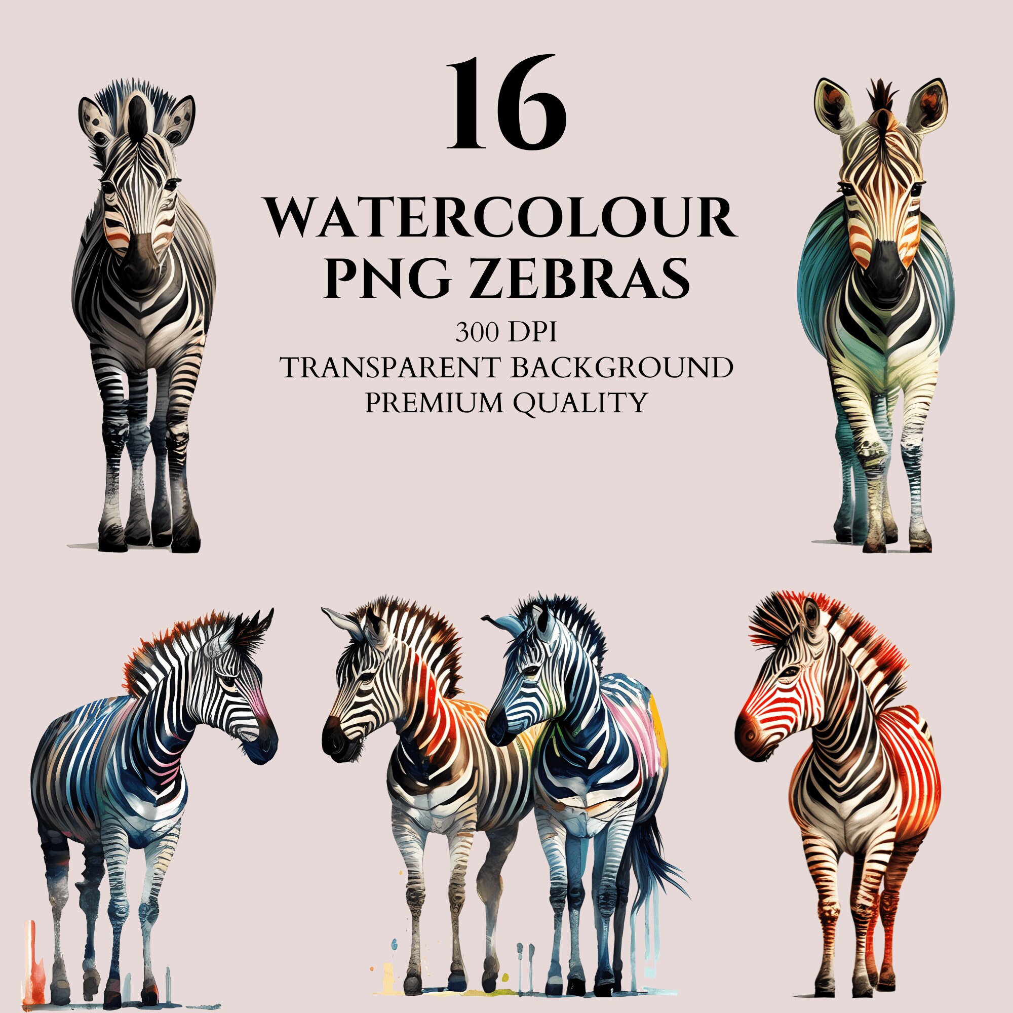 Watercolor Zebra Clipart, Safari Animals, PNG Bundle, Digital Download ...