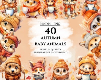 40 Cute Baby Animal Clip Art Cute Baby Animals (Instant Download) - Etsy