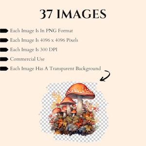 Watercolor Autumn Mushrooms Clipart, Fall Season, Nature, Forest, PNG ...