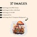 Watercolor Autumn Mushrooms Clipart, Fall Season, Nature, Forest, PNG ...