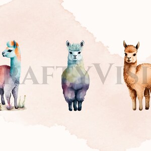 Lama Watercolor Clipart Digital Download PNG Bundle Baby - Etsy