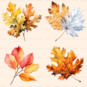 Watercolor Autumn Leaves, Fall Clipart, Maple Leaf, Oak Leaf, Birch ...