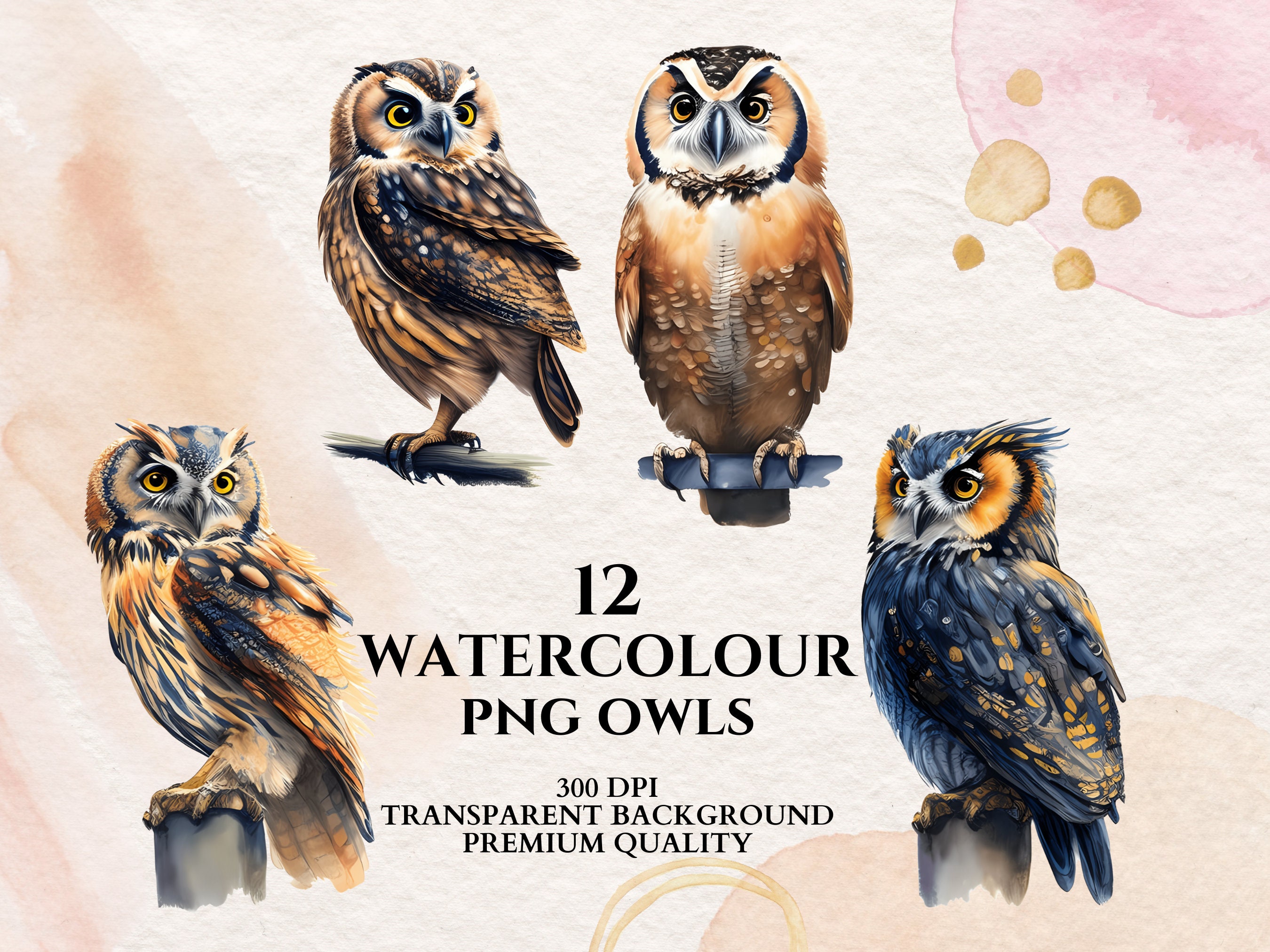 Watercolor Owls, Clipart, Png, Printable Image, Digital Download ...